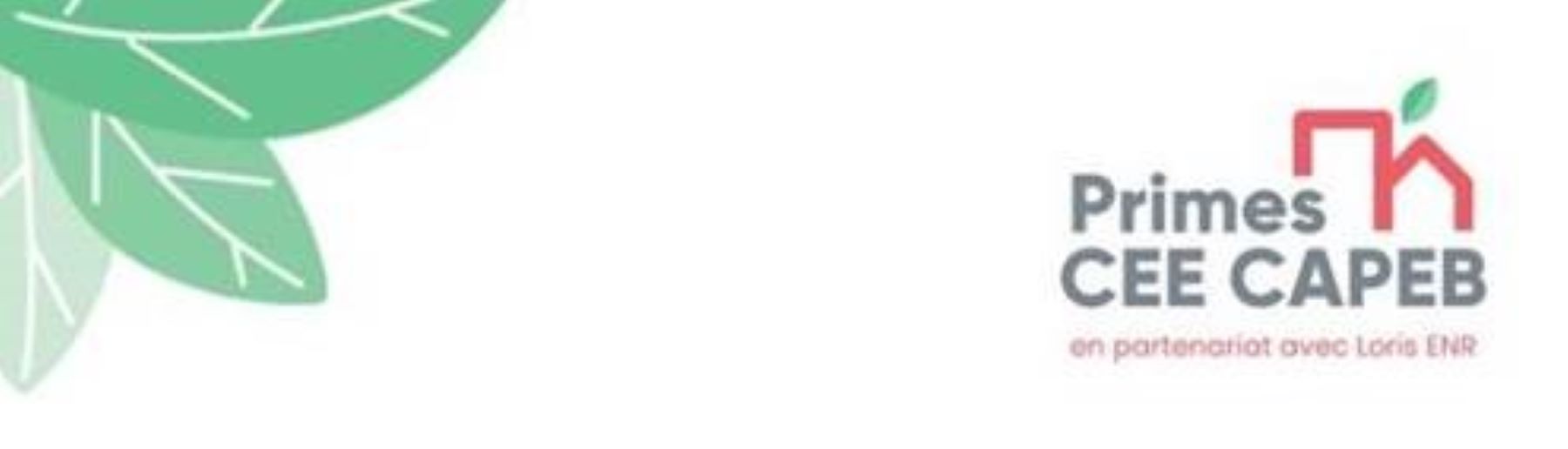 WEBINAIRE DE PRESENTATION DU NOUVEAU DISPOSITIF CEE AVEC LORIS ENR ・ CAPEB